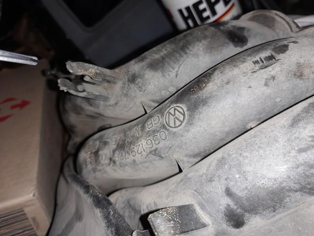 036129709 VAG сравнить цены на Автопро