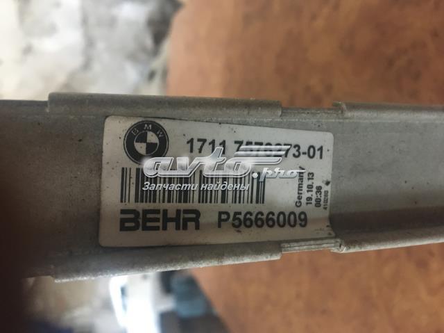 17117576273 BMW радиатор