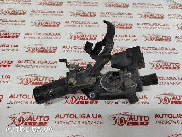 1106000Q02 Nissan термостат