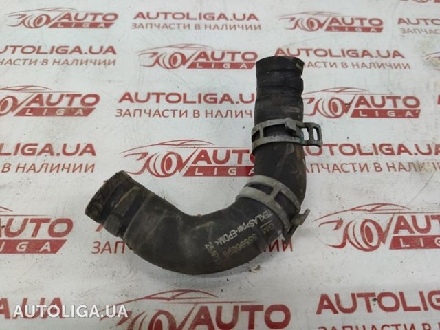 55596898 General Motors трубка (шланг масляного радиатора, высокого