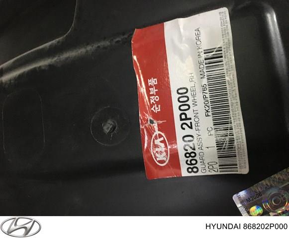 868202P000 Hyundai/Kia подкрылок крыла переднего правый
