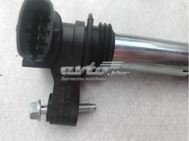 0 221 604 112 Bosch Катушка зажигания