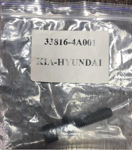 338164A001 Hyundai/Kia Болт крепления форсунки