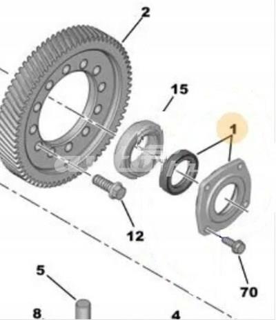 9822498280 Peugeot/Citroen сальник полуоси переднего моста левой