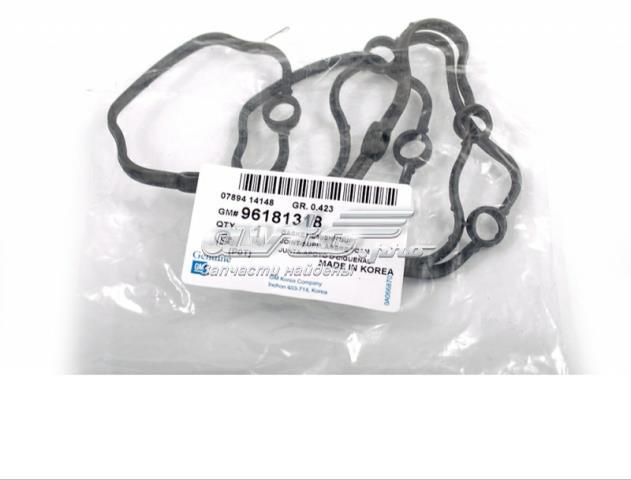 96181318 General Motors прокладка клапанной крышки двигателя