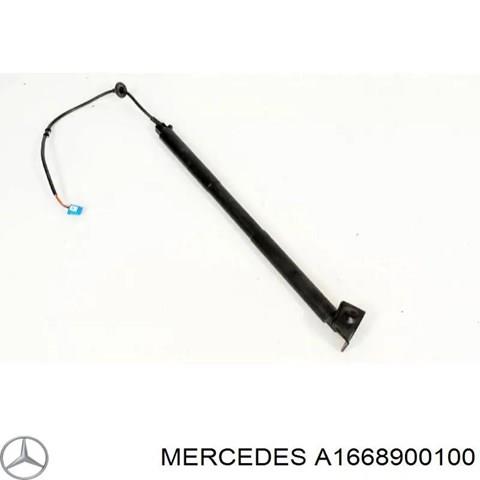 A1668900100 Mercedes амортизатор багажника