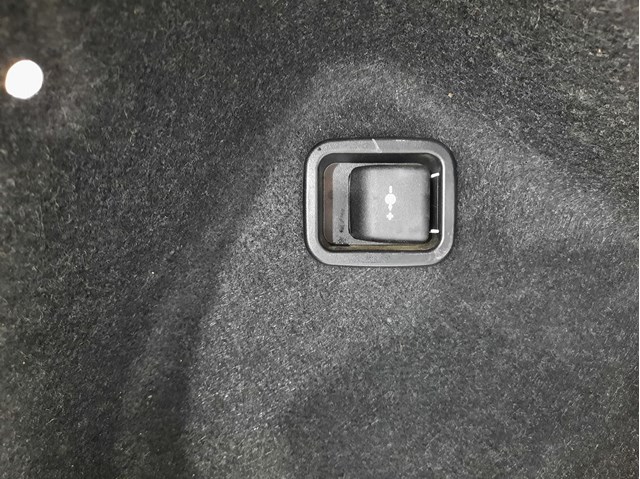 51487246295 BMW обшивка багажника