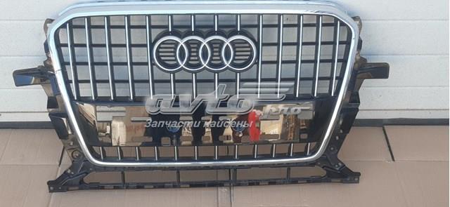 Защитная решетка радиатора на Audi Q5