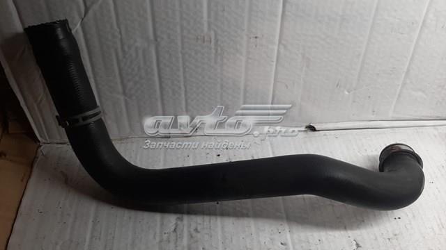 9065010382 Mercedes шланг (патрубок радиатора охлаждения нижний)