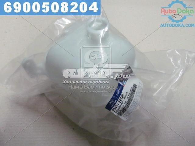 254312E100 Hyundai/Kia бачок системы охлаждения, расширительный
