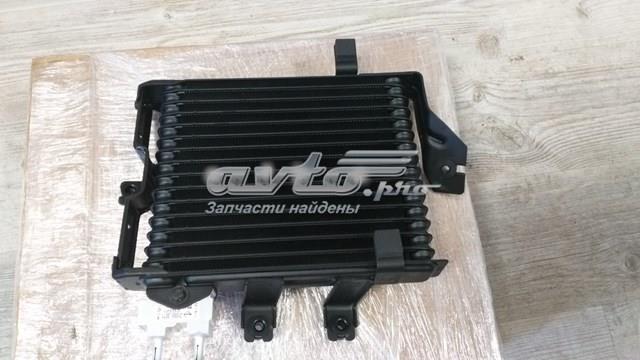 216063JA0A Nissan/Infiniti Радиатор охлаждения, АКПП/КПП