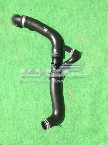 LR039251 Land Rover cpla8286ca шланг низ, радиатор l405 l494 3,0