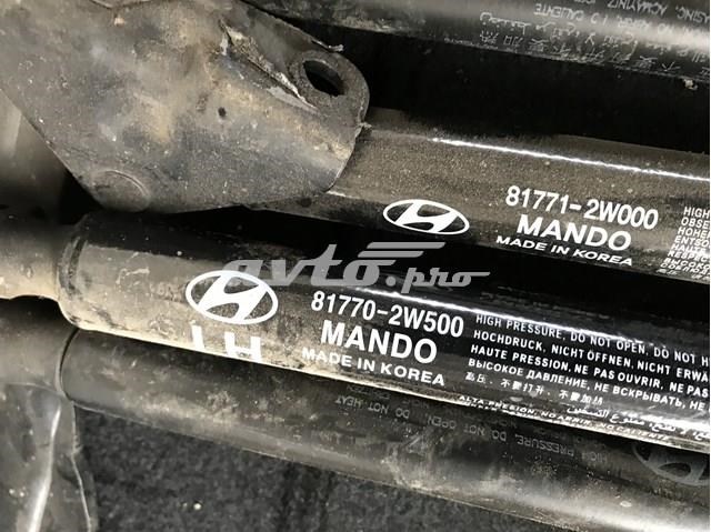 817712W000 Hyundai/Kia амортизатор крышки багажника (двери 3/5-й задней)