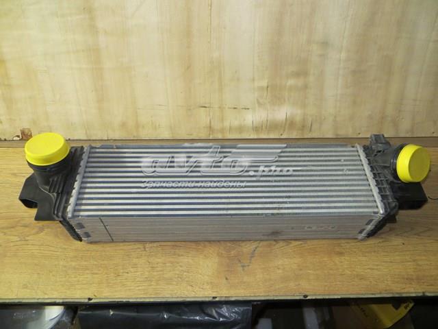 17517617600 BMW охладитель наддувочного воздуха