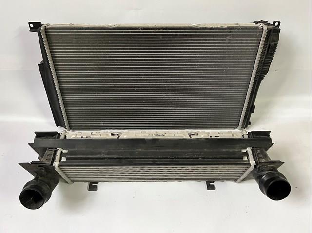 17517618809 BMW радиатор интеркуллера