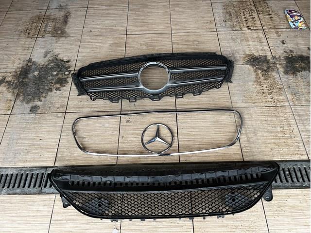 A2138856900 Mercedes решетка бампера переднего центральная