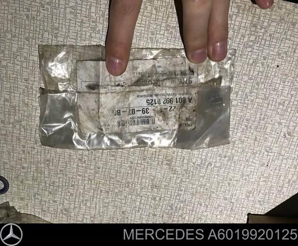 A6019920125 Mercedes палец (пр-во ssangyong)
