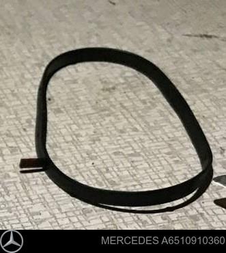 A6510910360 Mercedes прокладка впускного колектора