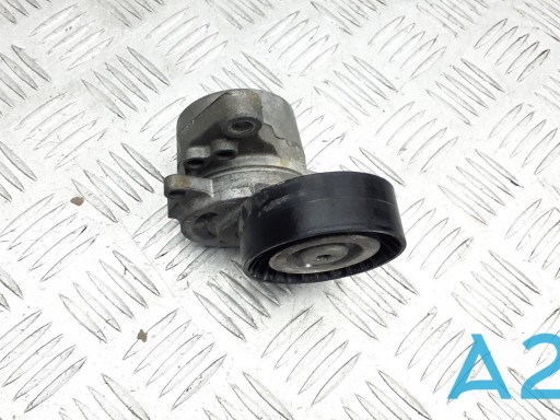 119553TA9D Nissan натяжитель приводного ремня