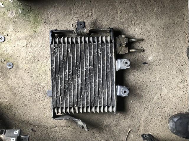 216063JA0A Nissan радиатор охлаждения, акпп/кпп