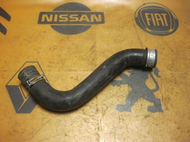 A9065012982 Mercedes | Шланг (патрубок радиатора охлаждения верхний) A ...