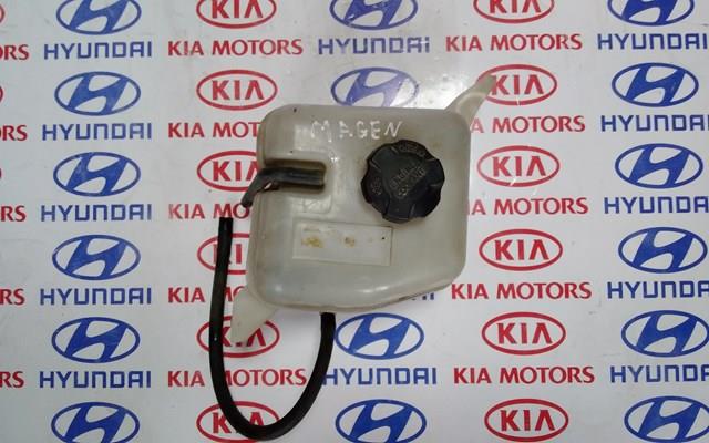 2544126100 Hyundai/Kia Крышка (пробка) расширительного бачка