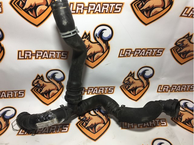 LR034641 Land Rover шланг радиатора