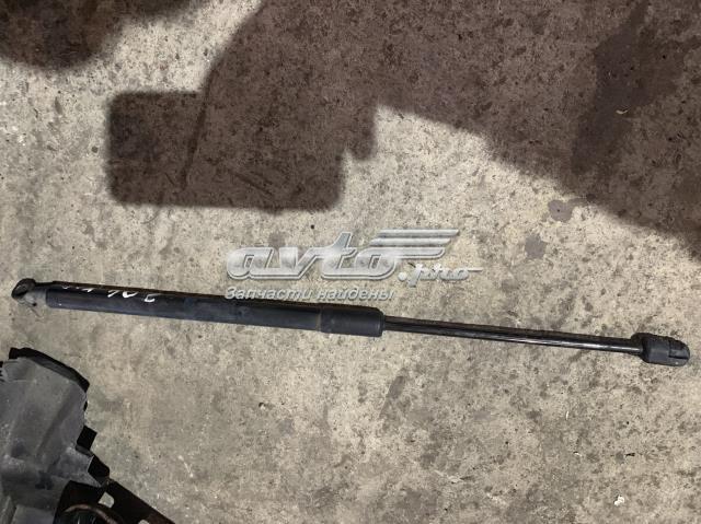 2047400145 Mercedes амортизатор двери пятой