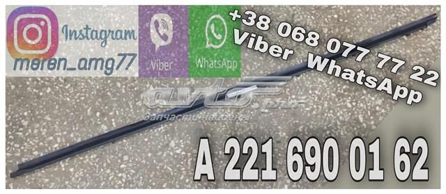 A2216900162 Mercedes уплотнитель двери передней левой, нижний