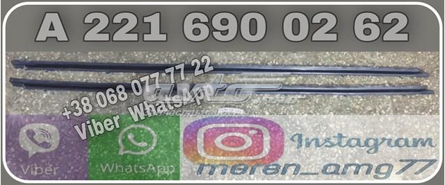 A2216900262 Mercedes уплотнитель двери передней правой