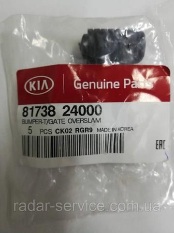 8173824000 Hyundai/Kia вiдбiйник капота