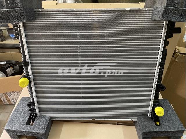 17119797807 BMW радиатор