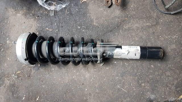 Амортизатор передний на BMW X6 E71 - Купить передние стойки Бмв Х6 ...