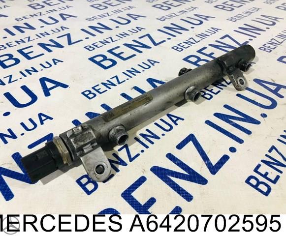 A6420702595 Mercedes распределитель топлива (рампа правый)