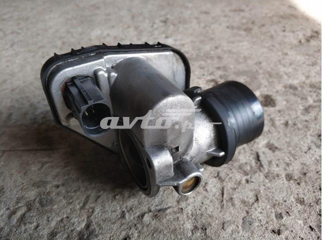 1446900QAD Nissan дроссельная заслонка