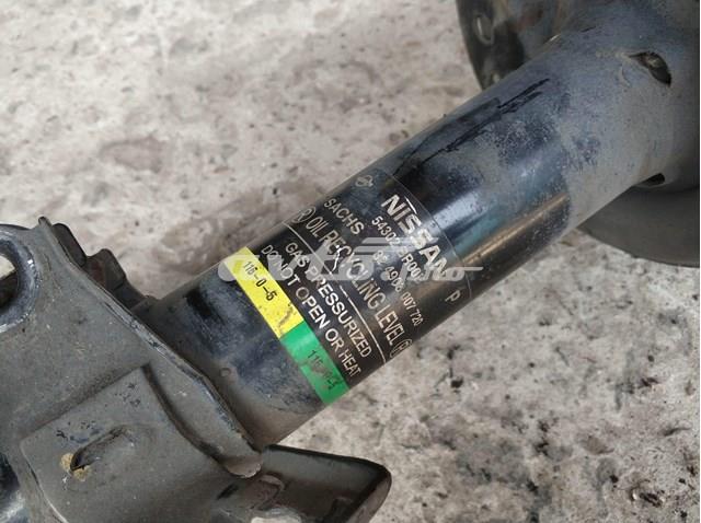 RS314037 Raiso амортизатор передний правый