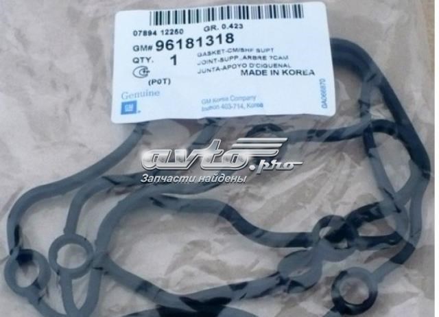 96181318 General Motors прокладка клапанной крышки двигателя