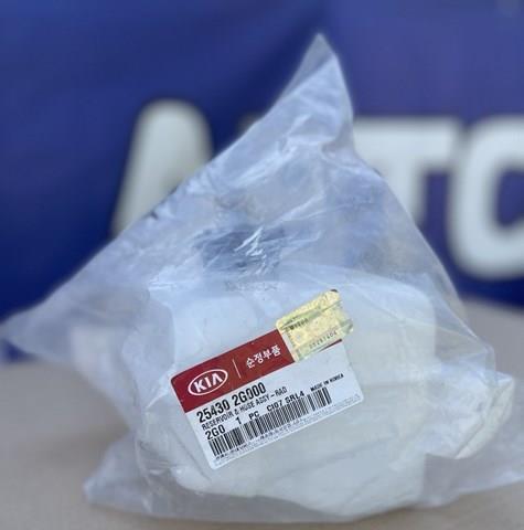 254302G000 Hyundai/Kia бачок системы охлаждения, расширительный