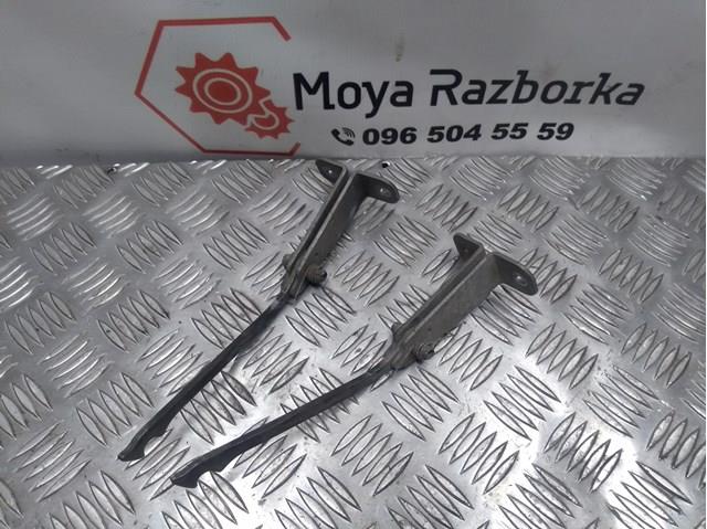 8200197752 Nissan ограничитель открывания двери багажного отсека (фургон)