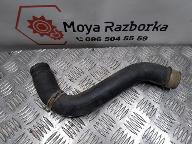 A9065012982 Mercedes | Шланг (патрубок радиатора охлаждения верхний) A ...