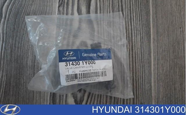314301Y000 Hyundai/Kia оригинал. обратный клапан топливной системы