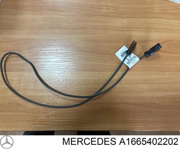 A1665402202 Mercedes электропроводка