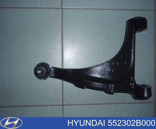 Рычаг задней подвески верхний левый на Hyundai Santa Fe II внедорожник ...