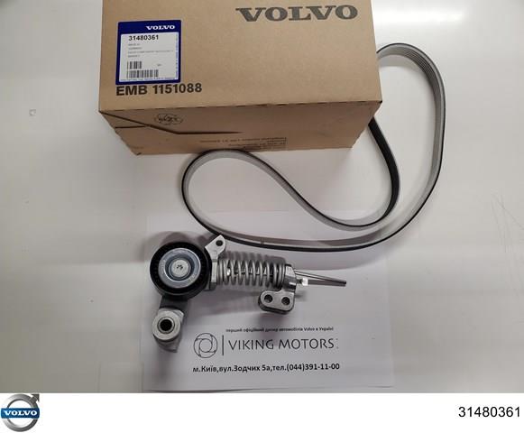 31480361 Volvo комплект ременя генератора з помпою води