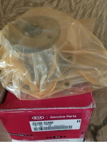 251002E000 Hyundai/Kia помпа