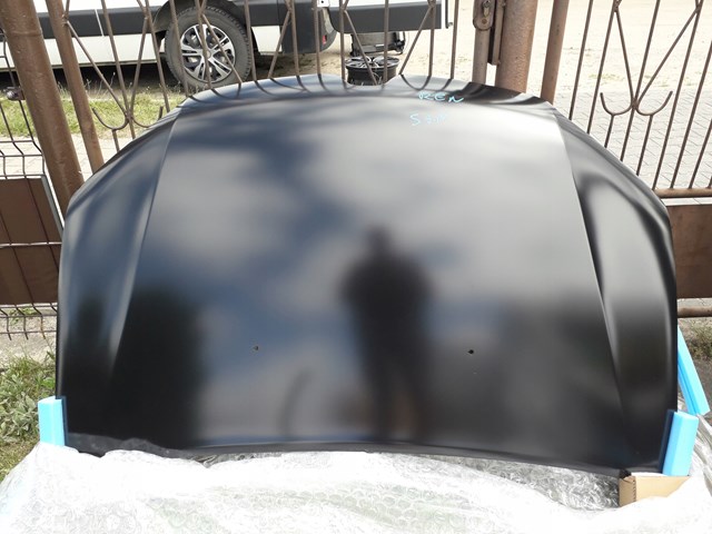 651002659R Market (OEM) капот