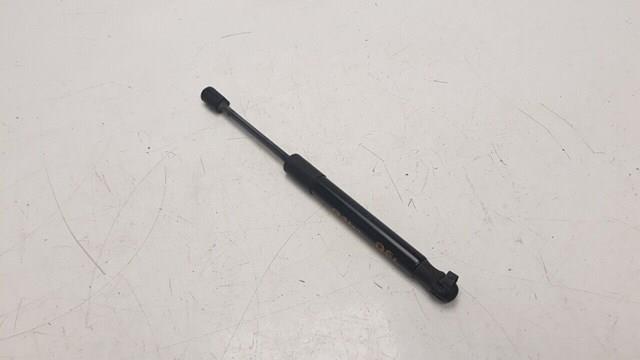 Стойка капота на BMW X3 (F25)