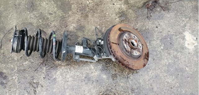 543024393R Renault (RVI) Амортизатор передний