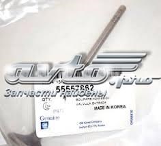 55557862 General Motors клапан впускной