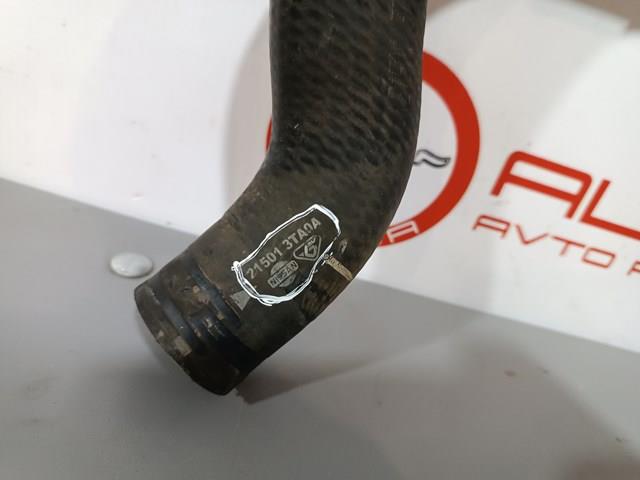 215013TA0A Nissan/Infiniti Шланг (патрубок) радиатора охлаждения верхний